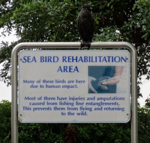 Why do we need Zoos … – Everything you need to know about zoos and ...