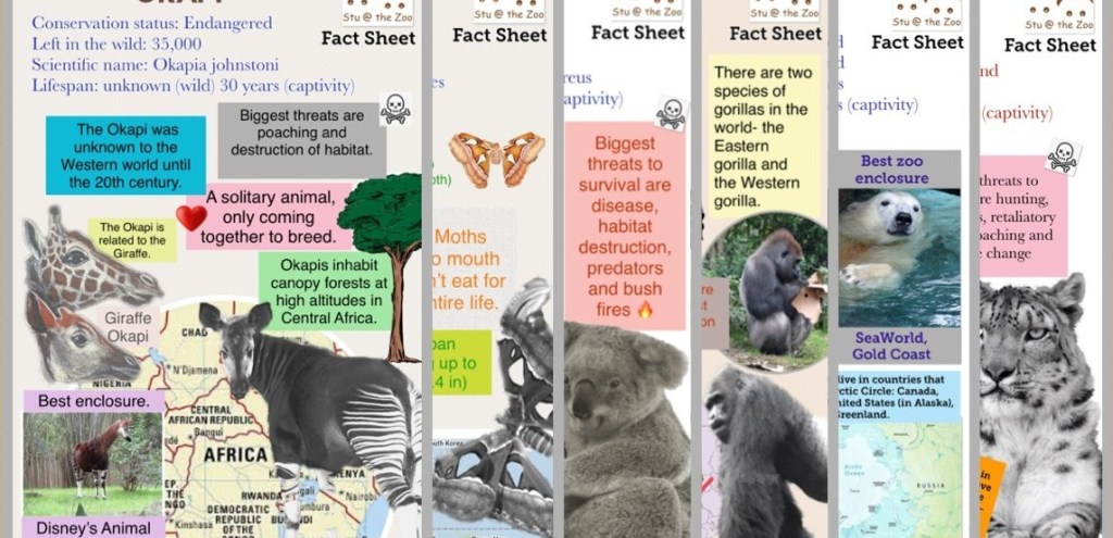 Glance and Learn – animal fact sheets – Everything you need to know ...
