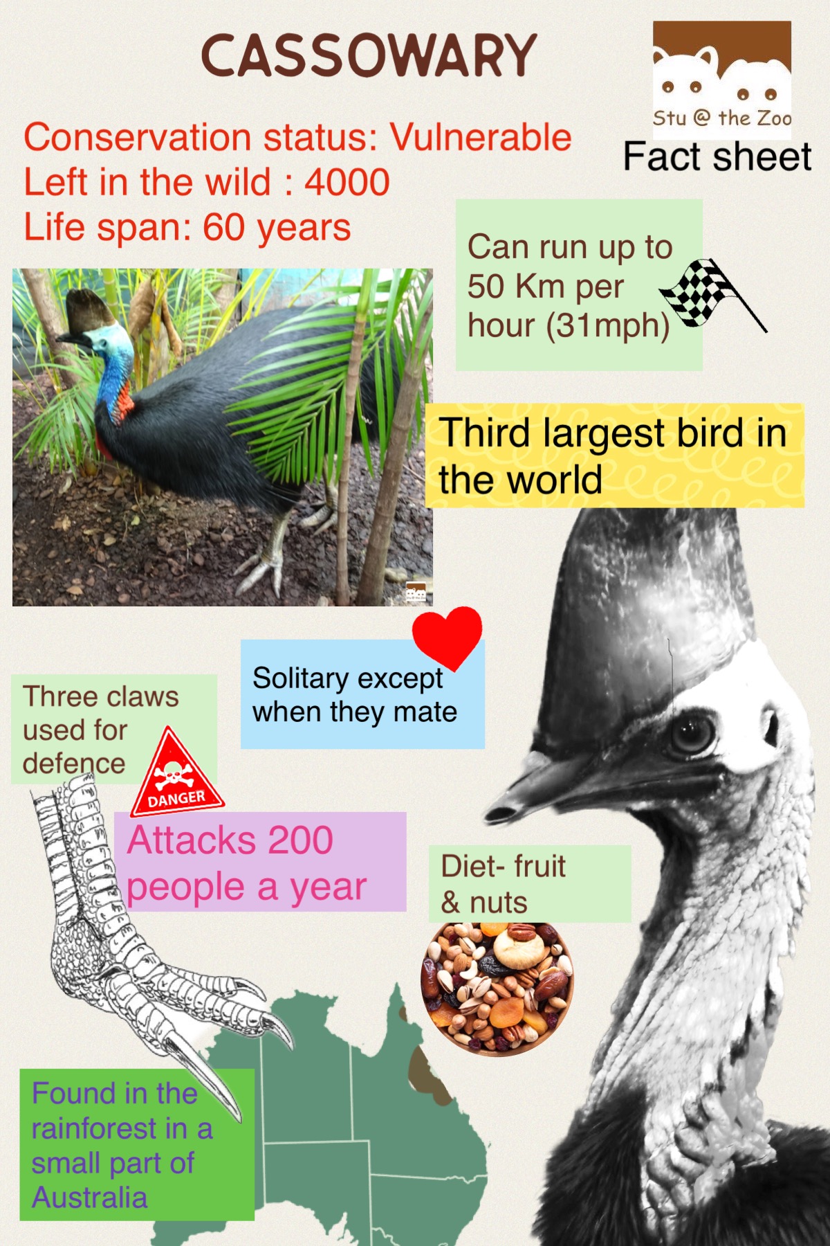 Glance and Learn – animal fact sheets – Everything you need to know ...
